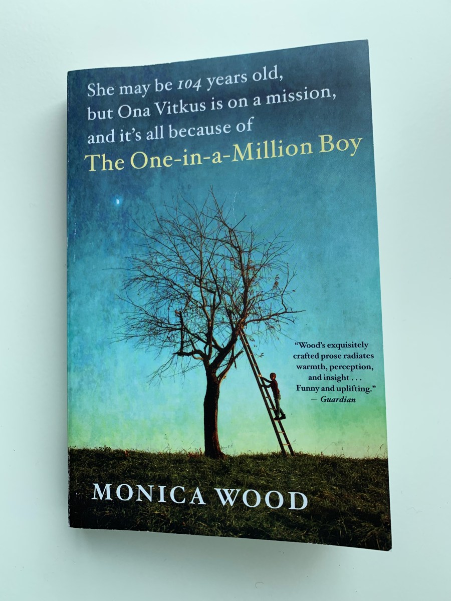 The One-in-a-Million Boy by Monica Wood: A Review – Little Ms Word Smith